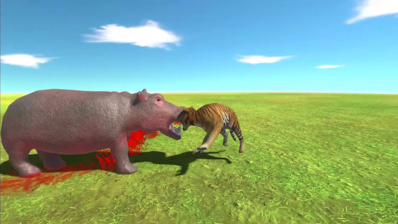 TIGER vs HIPPO (Animal Revolt Battle Simulator) - YouTube