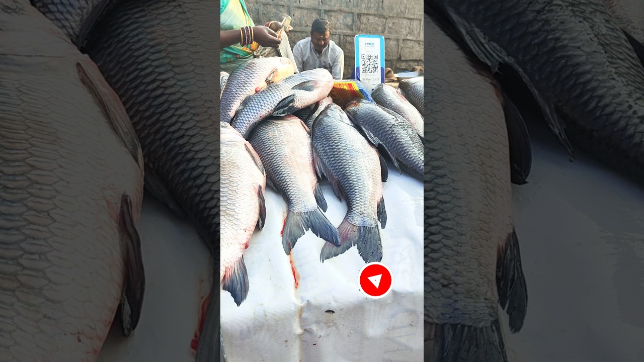 Meena Meena😊👍#youtube #fish#doddas kitchen - YouTube
