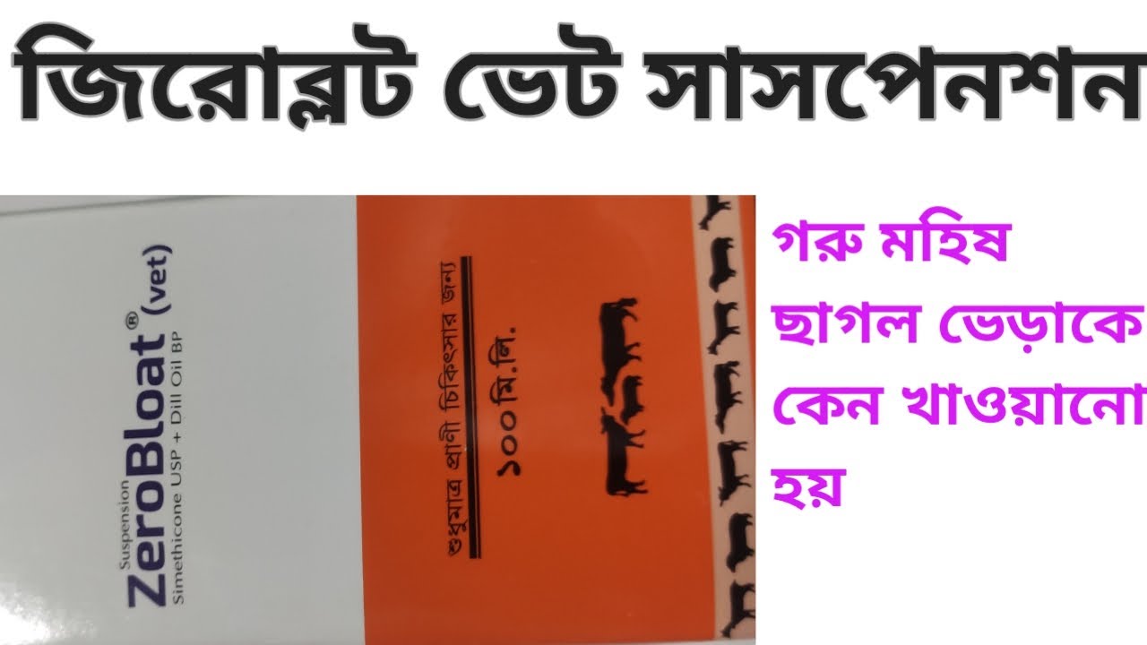 Zero Bloat vet suspension গরু মহিষ ছাগল ভেড়াকে কেন খাওয়ানো হয় - YouTube