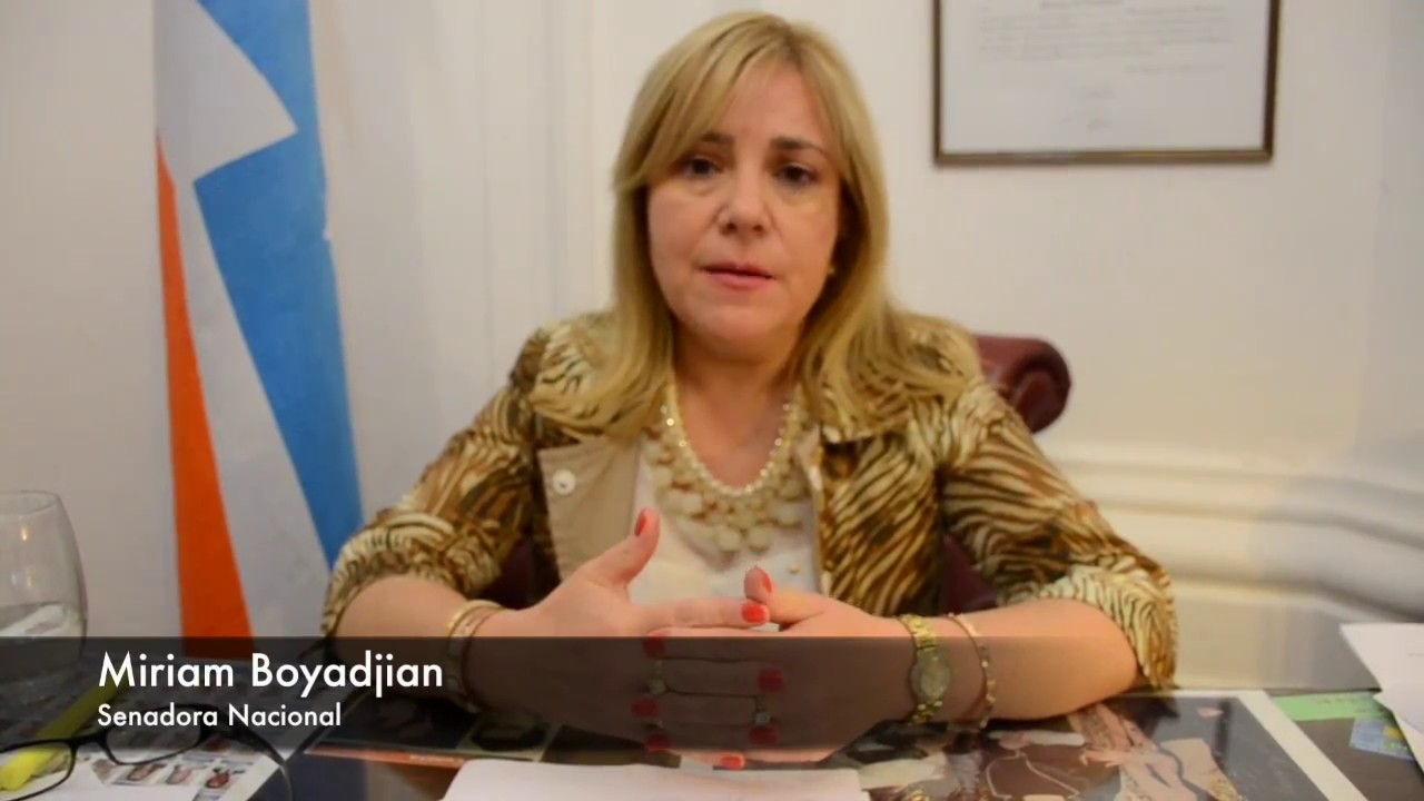 Saludo Navidad Senadora Miriam Boyadjian - YouTube