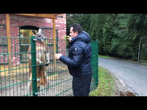 TUNCER ÇİFTÇİ Ve OLAY KANGURU