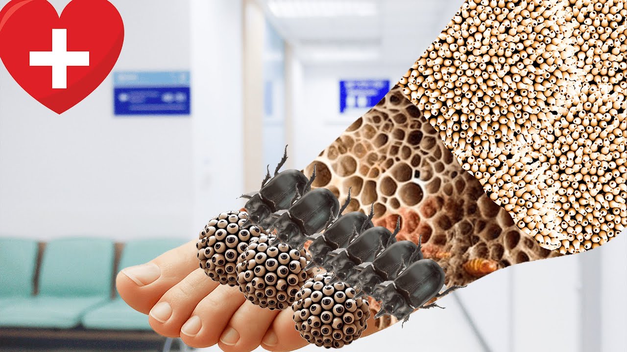 Indulge Into Ultimate Foot Pampering ASMR: Relaxing Spa Experience for ...