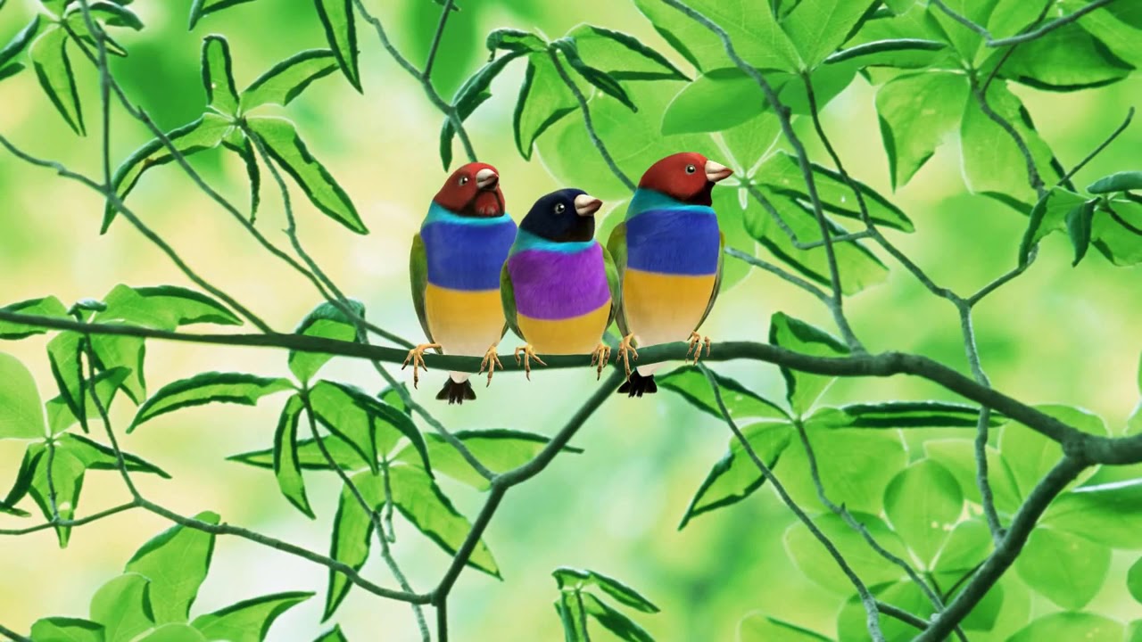 ViewSonic Brand Video - YouTube