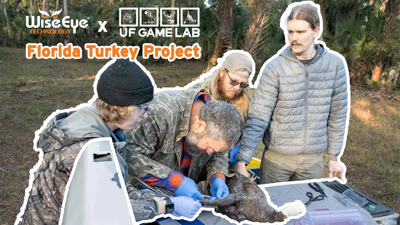 Florida Turkey Project | Interview with Dr. Marcus Lashley - YouTube