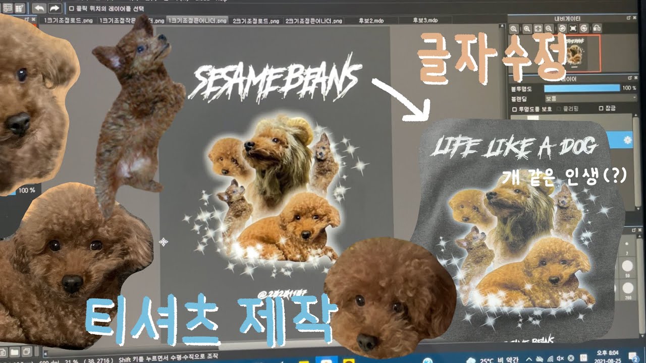 취미로그 : 우리집 갱얼쥐 티셔츠 제작하기 / 첫 도전이라 실패, Life like a dog - YouTube