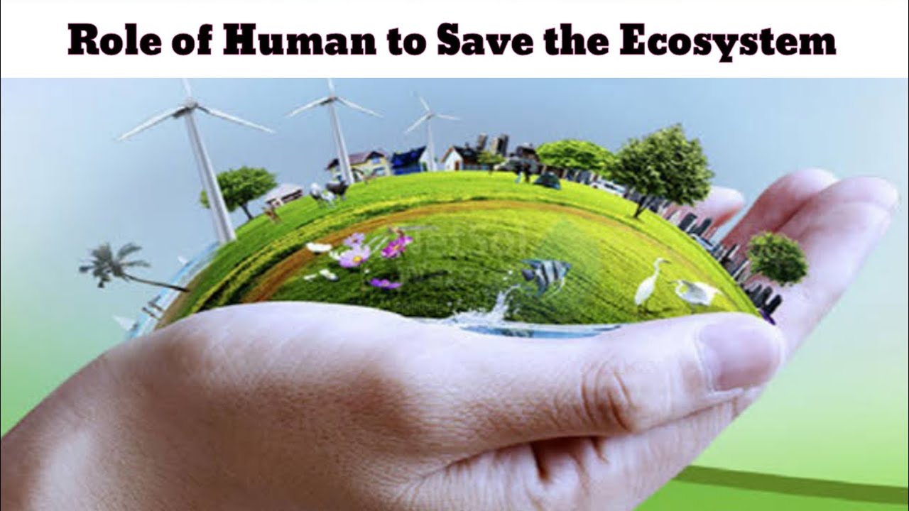 Role of Human to Save the Ecosystem | 4th Class General Science ...