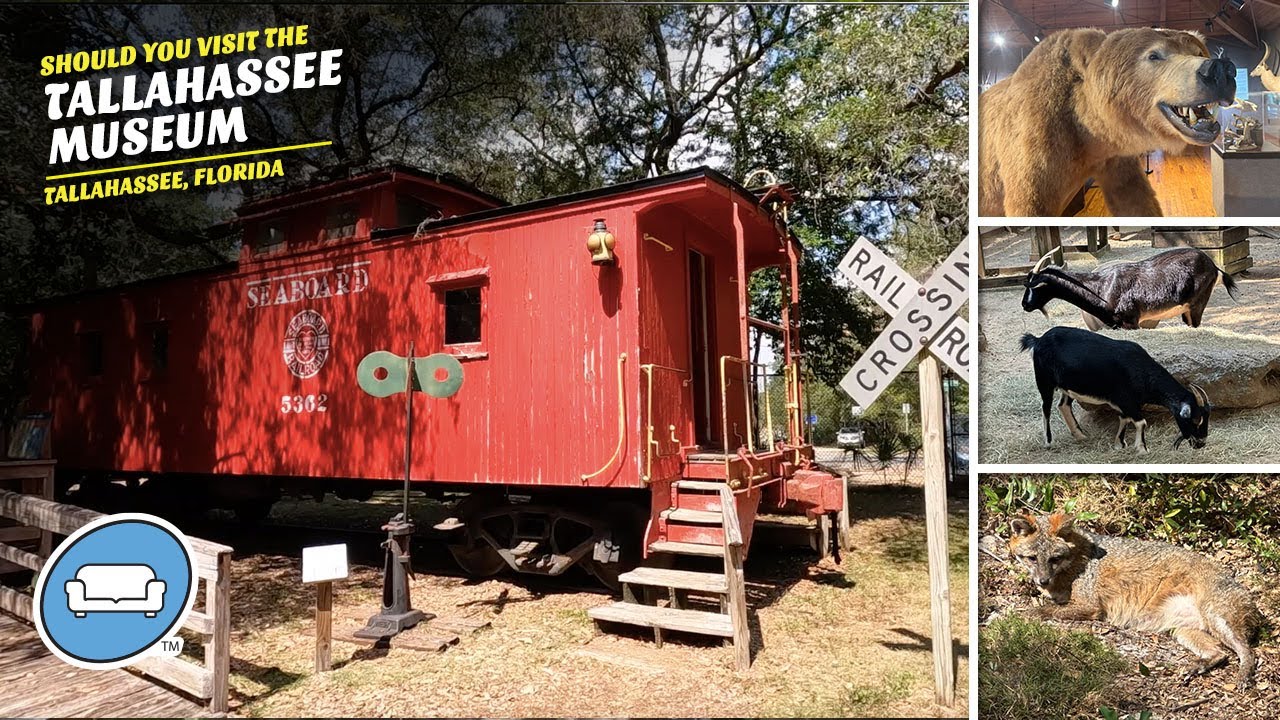 History, Dinosaurs, and Florida Wildlife at the Tallahassee Museum in ...