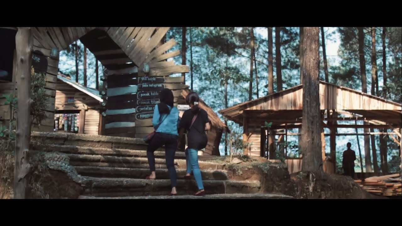 Wisata Purworejo Hutan Pinus Kalilo || Cinematic Travel Vidio - YouTube