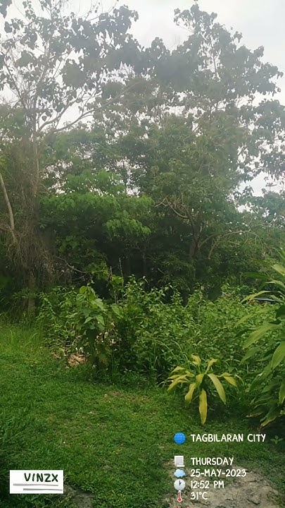 TAGBILARAN CITY WEATHER | NOON: 25-MAY-2023 (1252H) | vInzx - YouTube