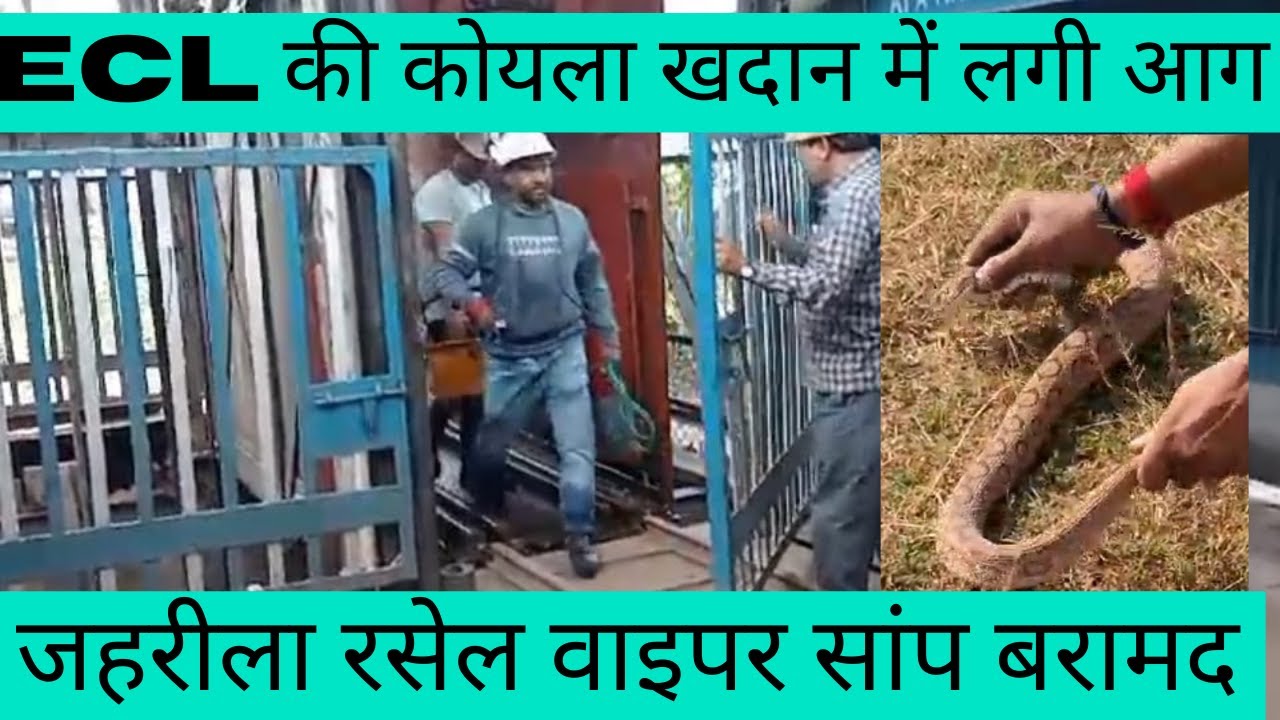 Fire breaks out in ECL's coal mine at Satagram / Poisonous snake ...