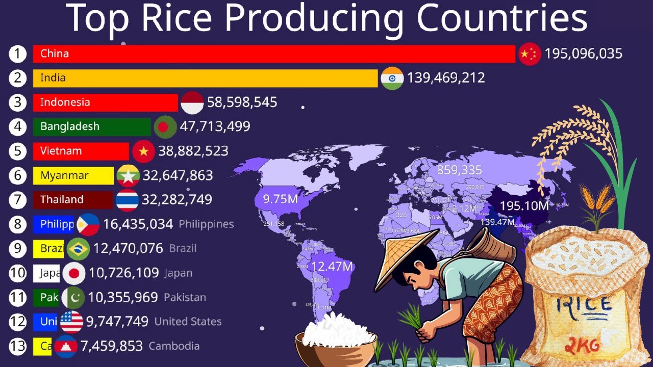 Top Rice Producing Countries 1960–2026 - YouTube