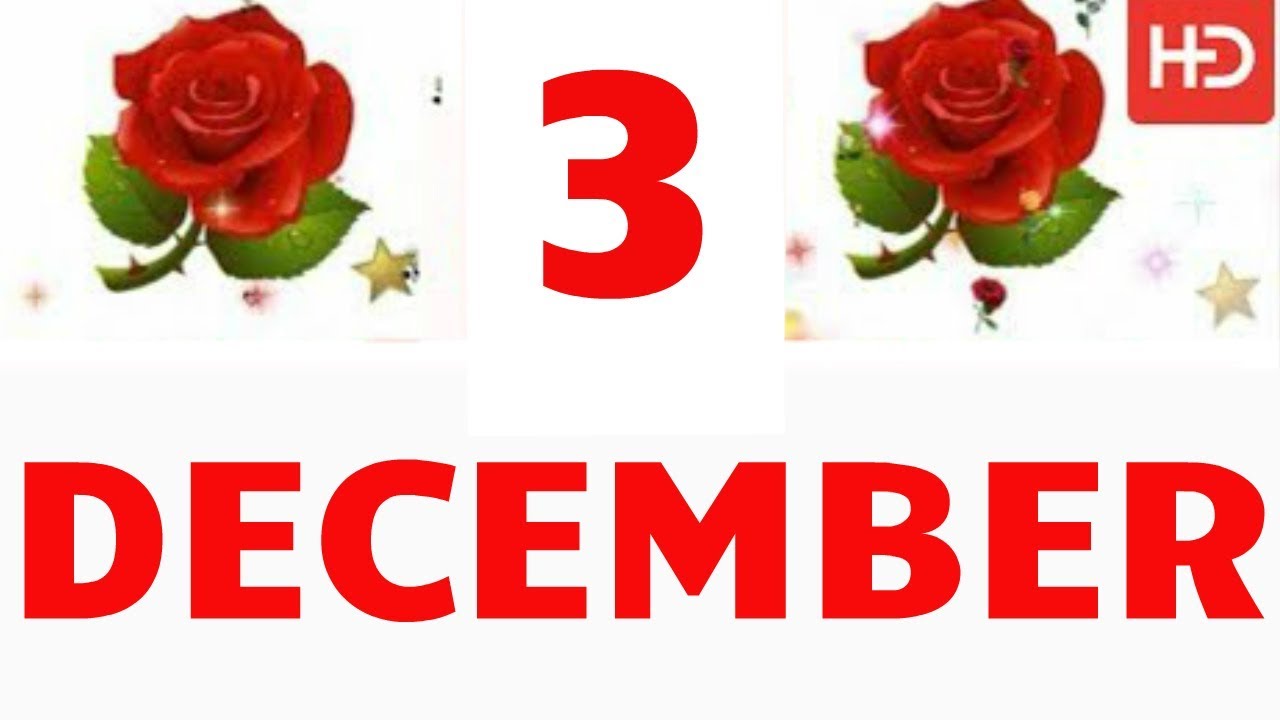 3 December Special New Birthday Status Video , happy birthday wishes ...