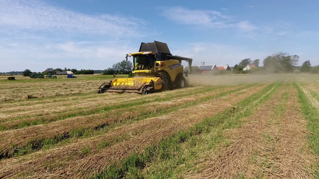 Timothy harvest 2020 | New Holland CR9090 | 790CP Pick-up | Sweden ...