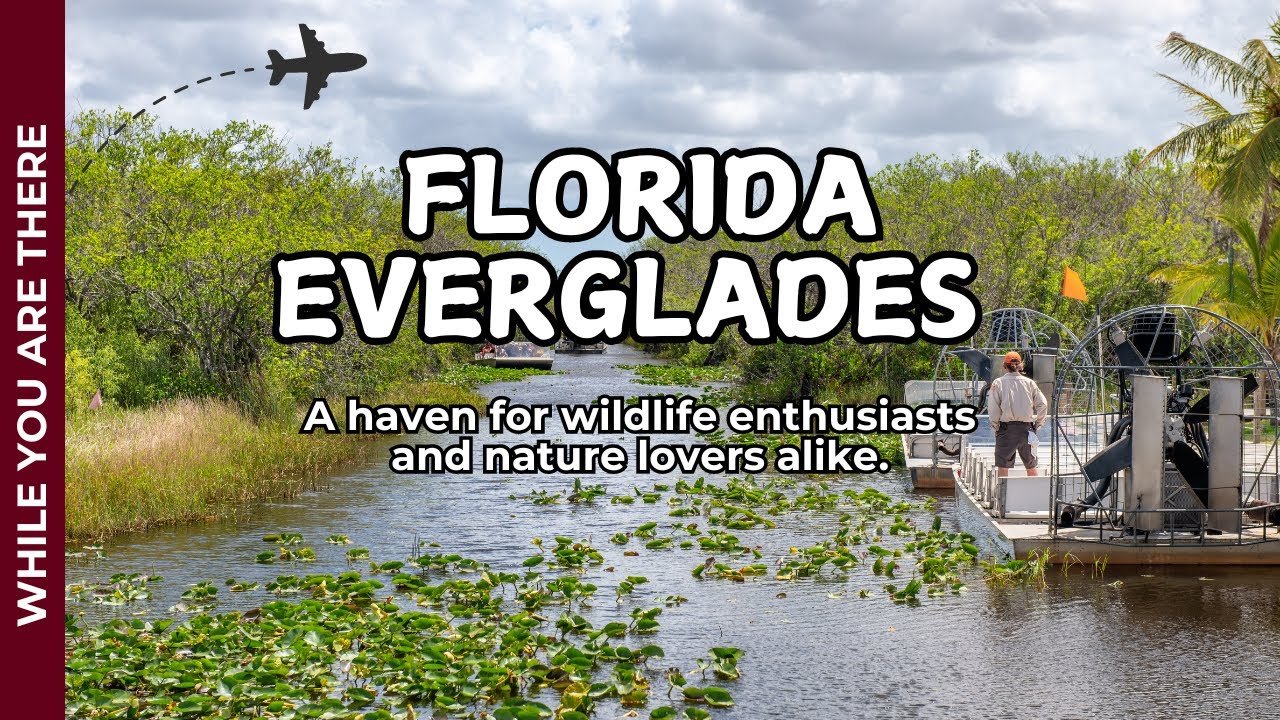 Discover the Unique Wilderness of Florida's Everglades National Park ...