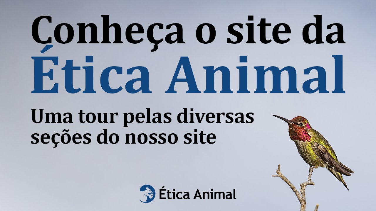 Conheça o site da Ética Animal: uma tour pelas diversas seções do nosso ...