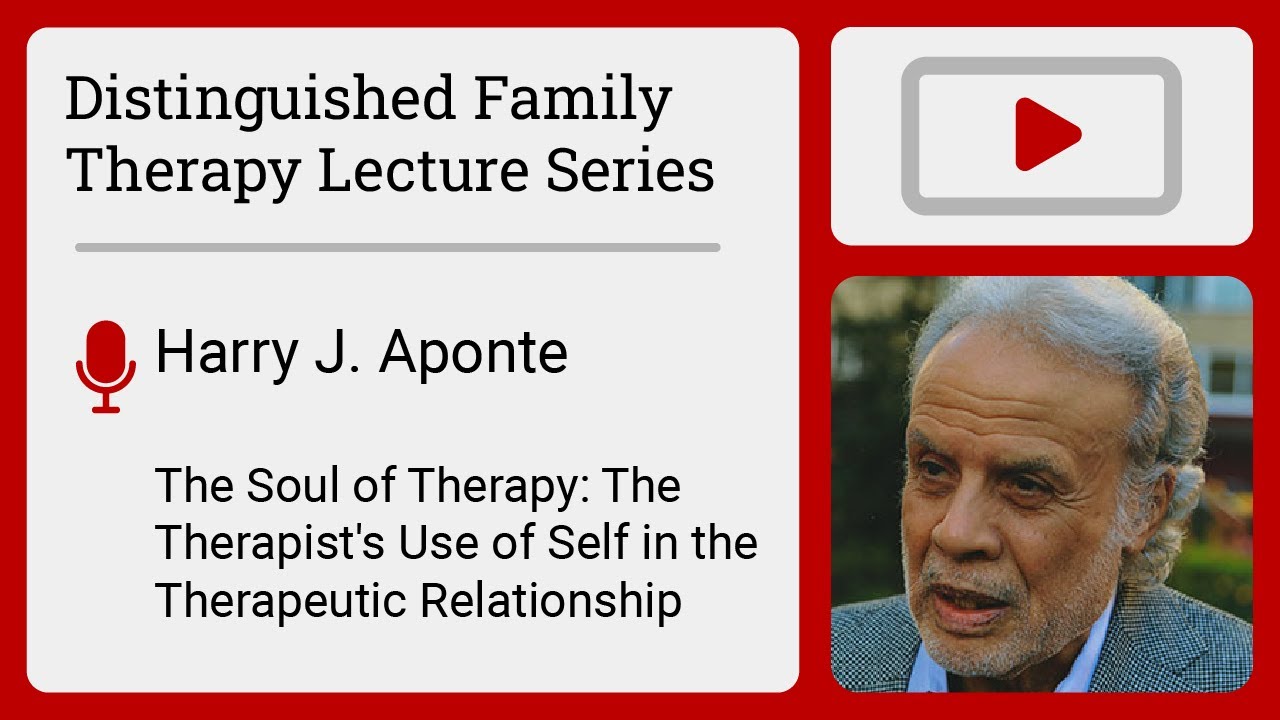 The Soul of Therapy: The Therapist's Use of Self in the Therapeutic ...