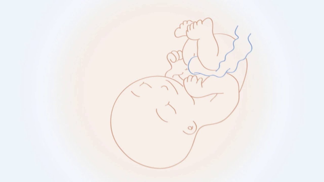 28 semanas de embarazo - YouTube