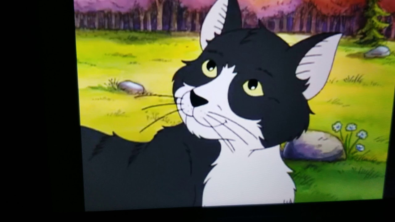 Cat - The Little Bear Movie - YouTube