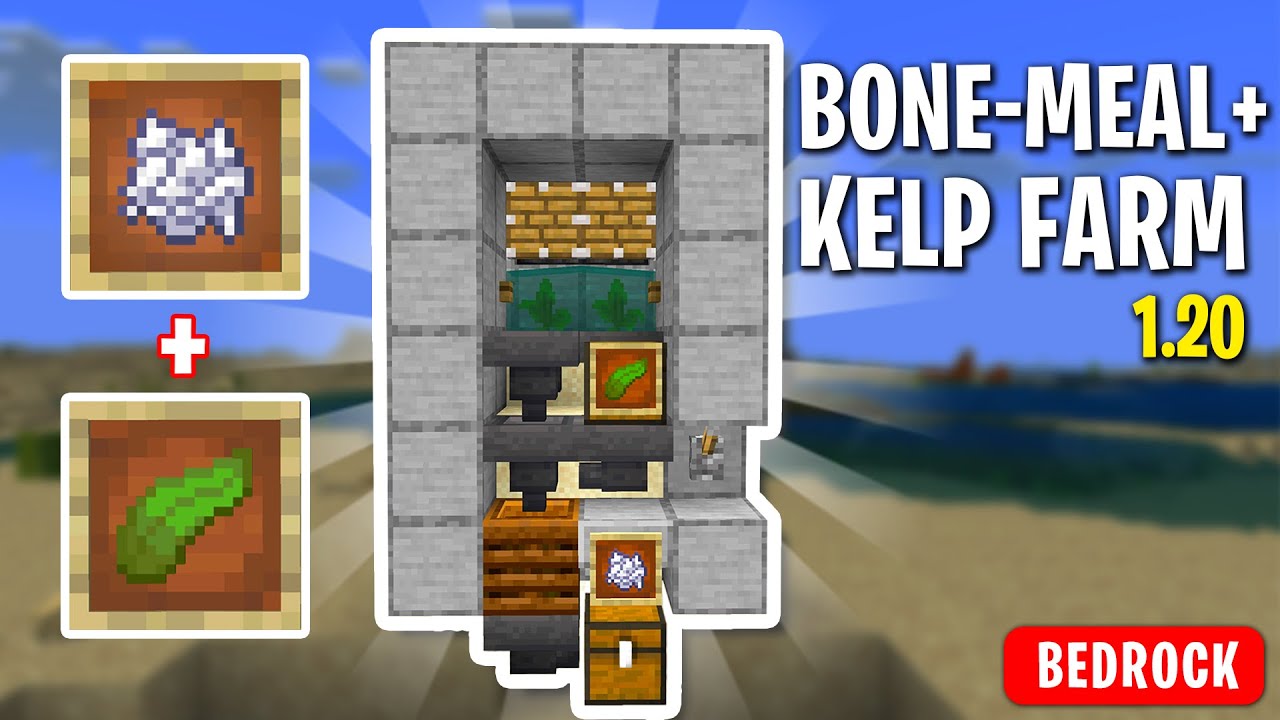 2 in 1 - BONE MEAL + KELP FARM for Minecraft Bedrock 1.21 - YouTube