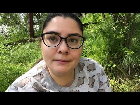 Jenny Talks About Bird Bingo!