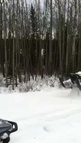 Best snowmobile catwalk EVER!! - YouTube