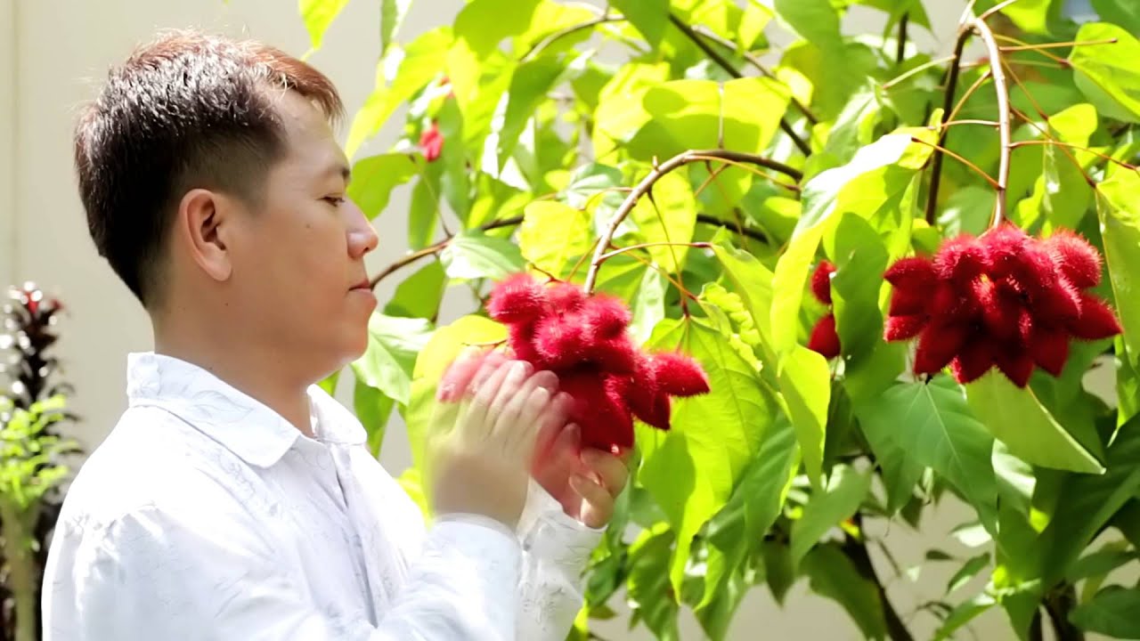 thanh tam kinh phat ngo hoang dat - YouTube