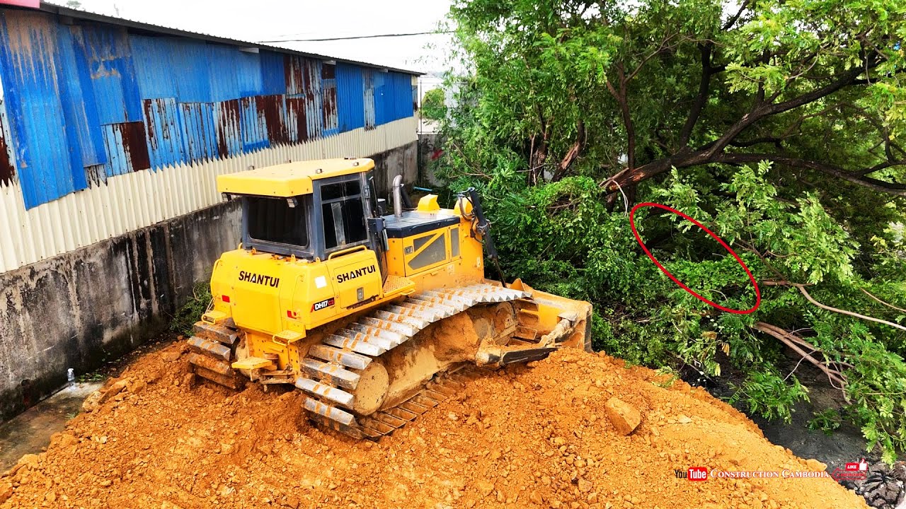 Amazing Powerful Bulldozer Pushing Big Tree Down Paving Making Road To ...