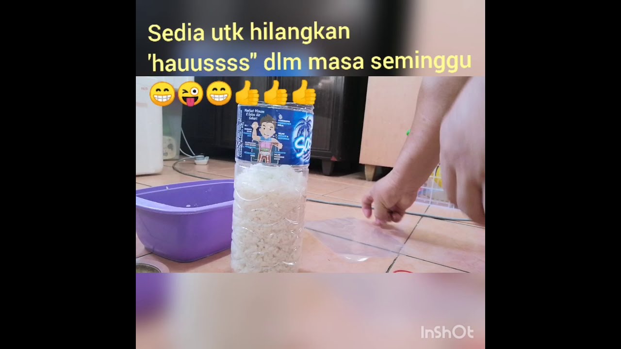 Proses Membuat Tumpung #minumantradisi #berastapaitumpung - YouTube