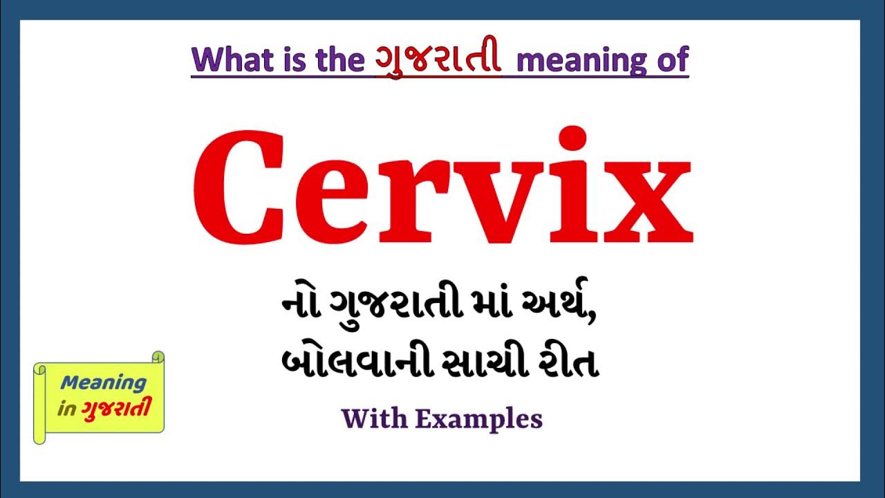 cervix-meaning-in-gujarati-cervix-cervix-in-gujarati