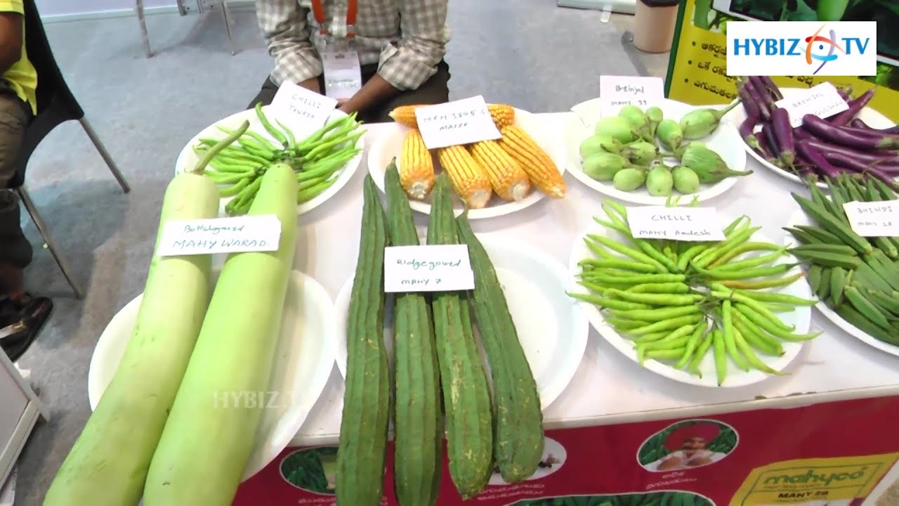 Mahyco seeds National Seed Congress - YouTube