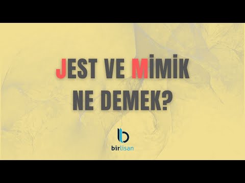 Jest ve Mimik Ne Demek?