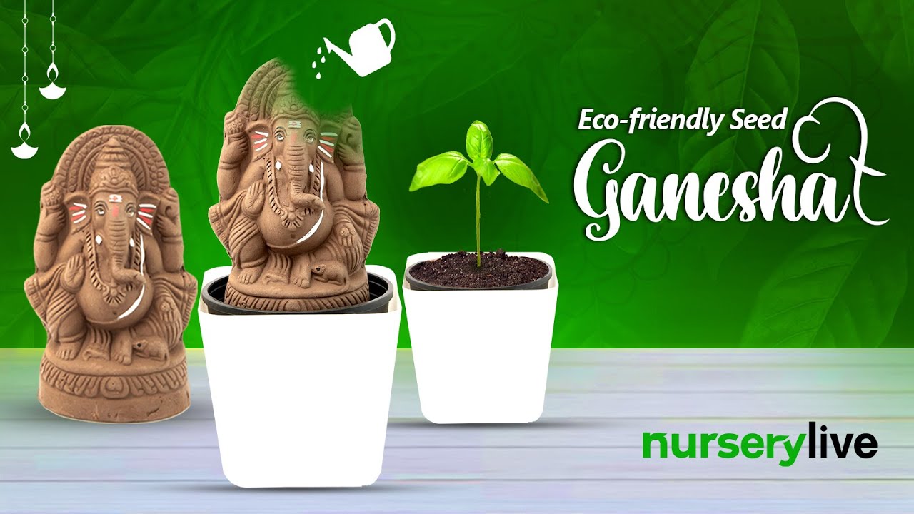 Eco-friendly Seed Ganesha | nurserylive - YouTube