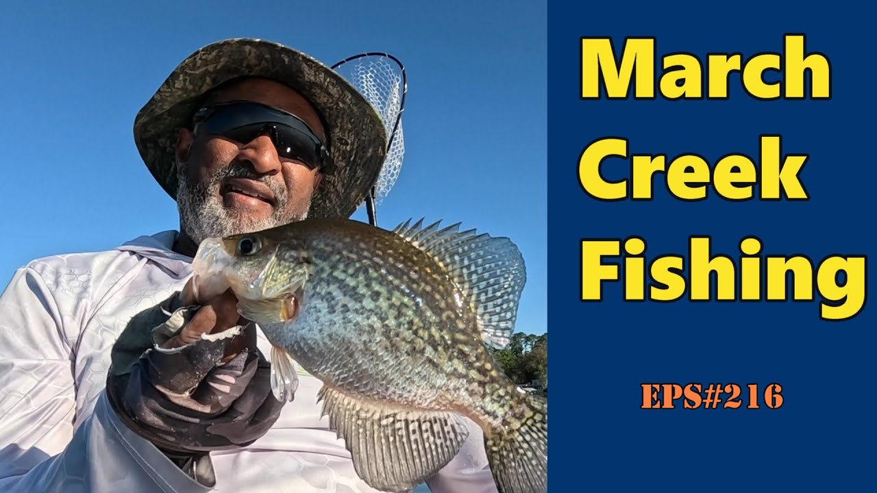 March creek fishing for crappie - Eps 216 - YouTube