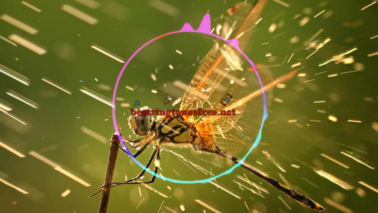 Download Walk On Water (Marimba Remix) ringtone | Best Ringtones ...