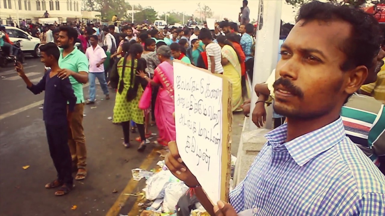 #Jalikattu - Moments to Celebrate. - Takaru Marina - YouTube