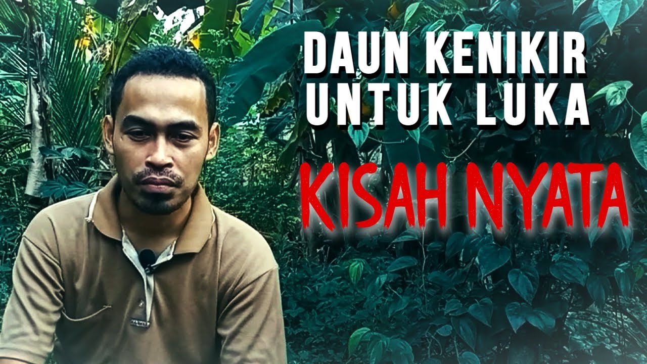 KISAH NYATA DAUN KENIKIR UNTUK PENYEMBUHAN LUKA SAYAT - YouTube