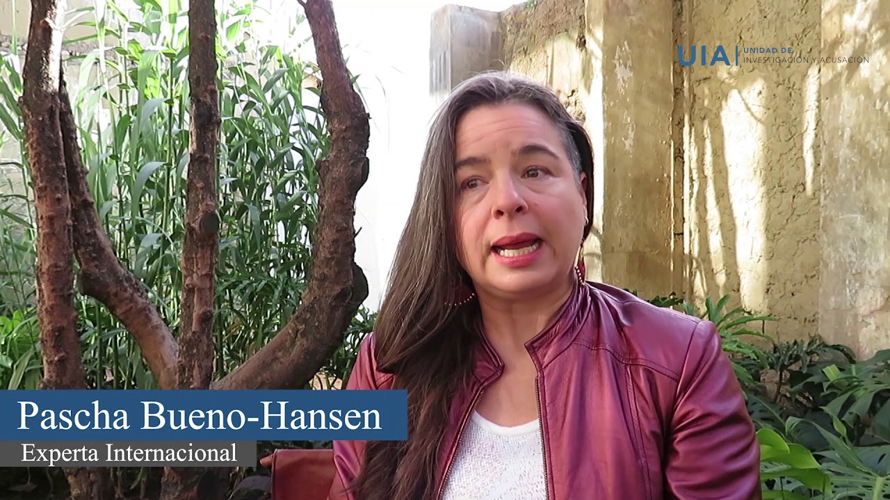 Pascha Bueno-Hansen, aporta una serie de recomendaciones para el ...
