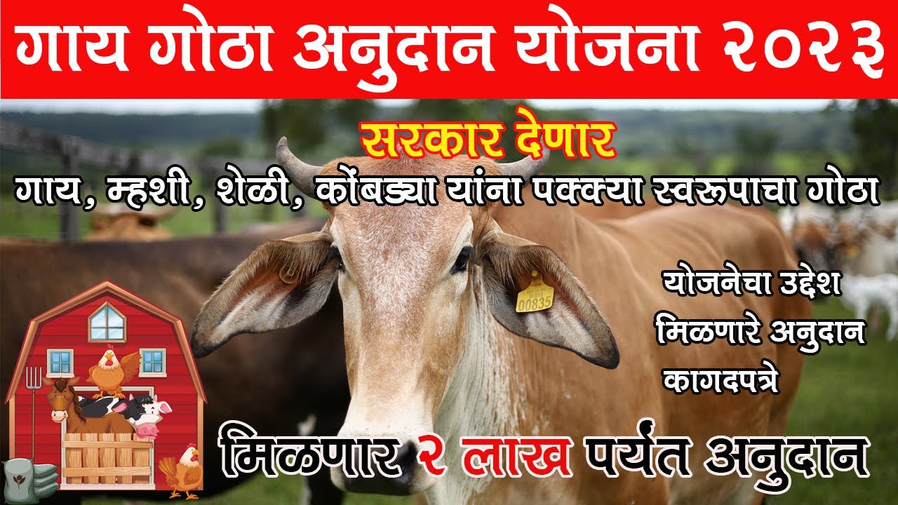 गाय गोठा अनुदान योजना 2023 : शरद पवार ग्राम समृद्धी योजना | Gai Gotha ...