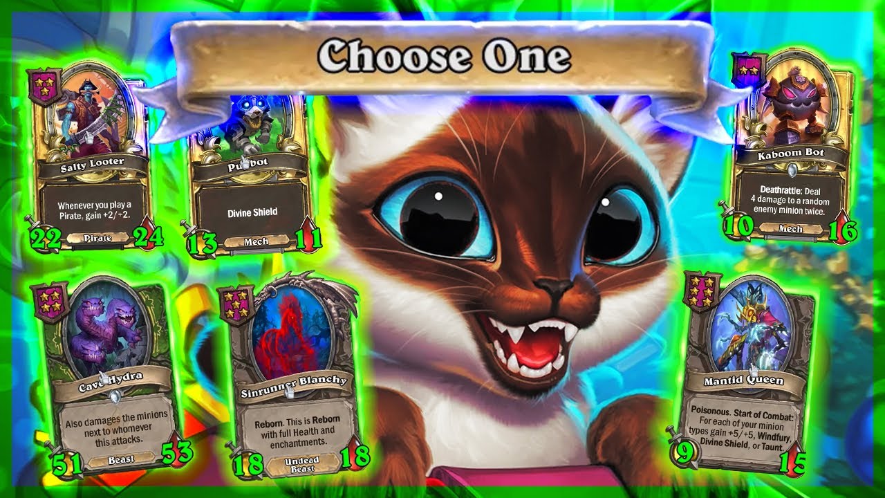 JUST CHOOSE ONE - Hearthstone Battlegrounds - The Cat - Mr ...
