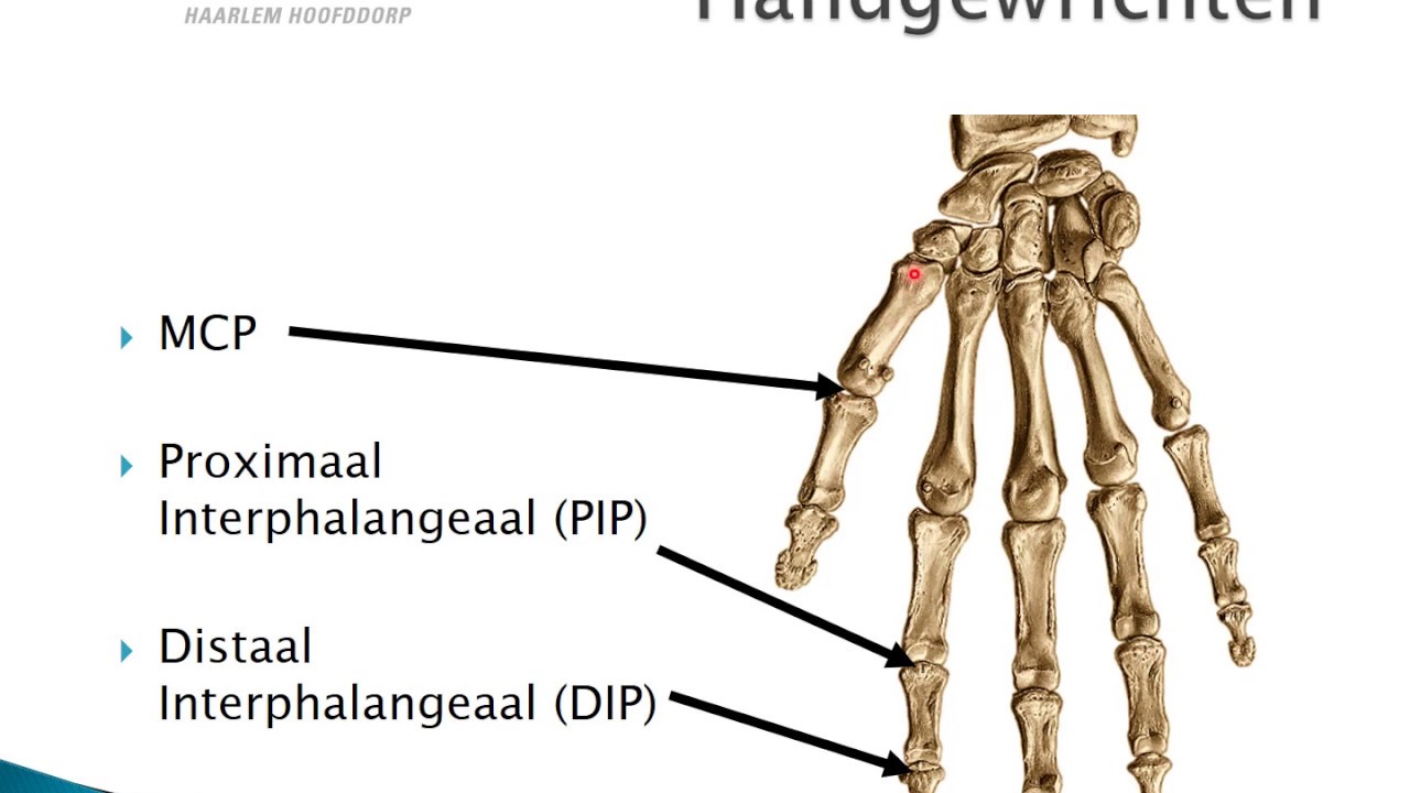 TRK 4.4 Polsgewricht en hand - YouTube