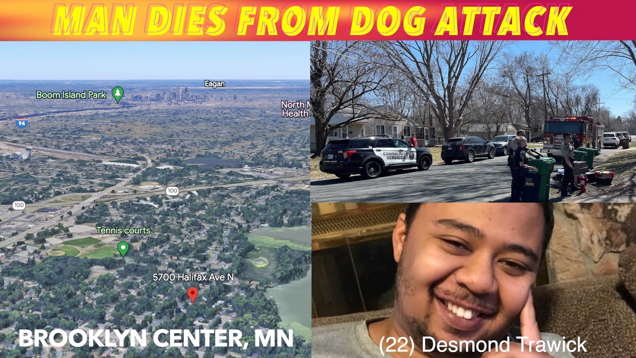 Man Dies From Dog Attack - YouTube