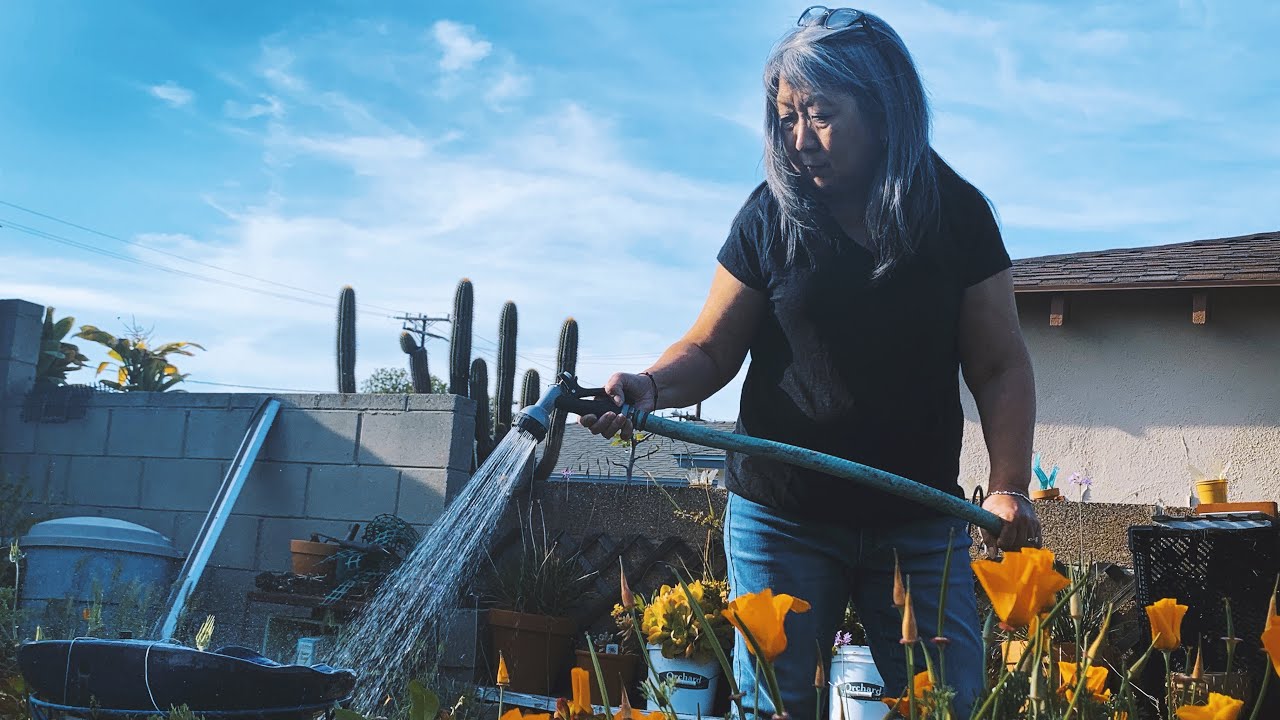 Speaking Grief Stories: Jayne Agena - YouTube