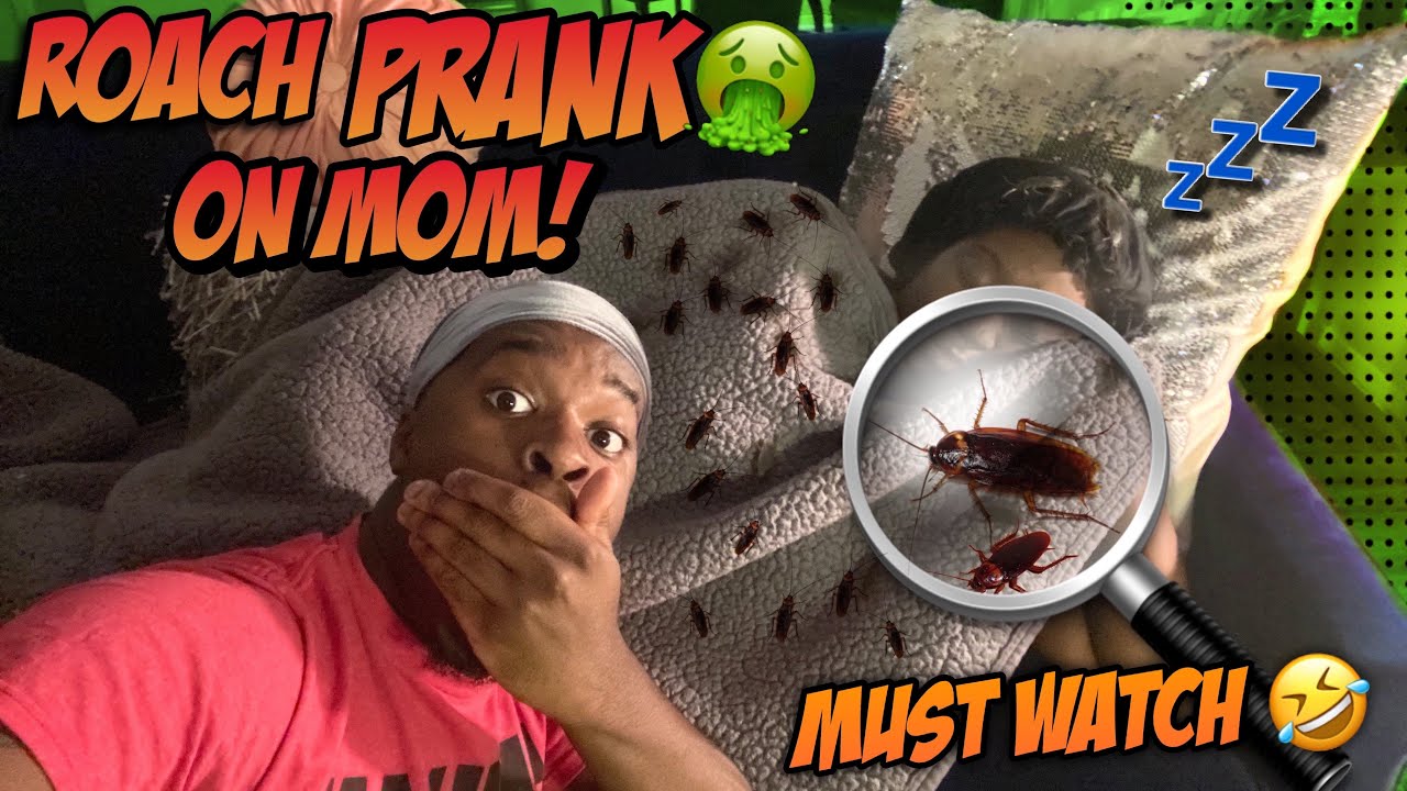 FAKE ROACH PRANK ON MOM!! *FUNNY REACTION* - YouTube