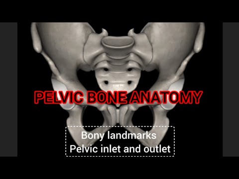 pelvic bone anatomy || pelvic inlet and outlet - YouTube