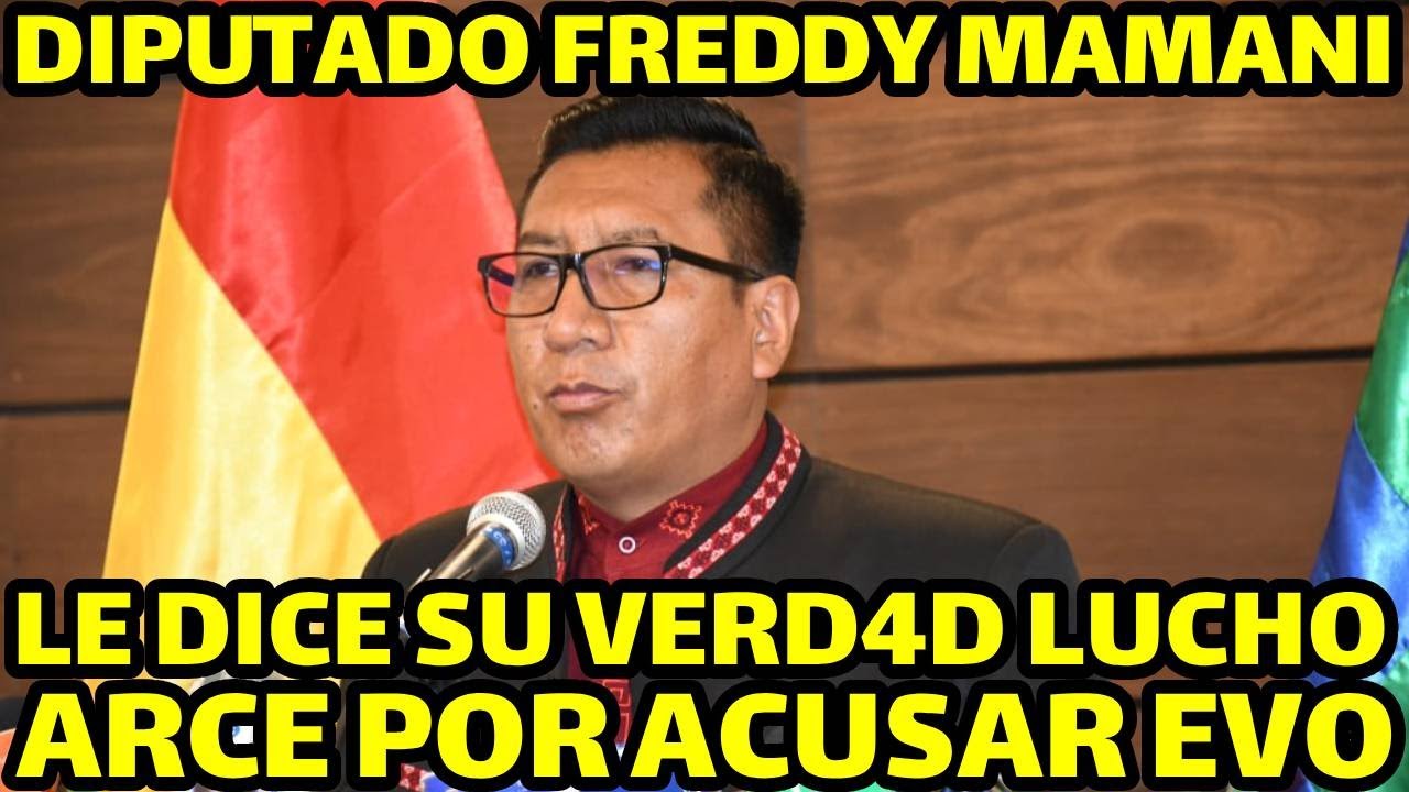DIPUTADO FREDDY MAMANI DICE CANDIDATO DE LUCHO ARCE NO GANO POBLACIÓN ...