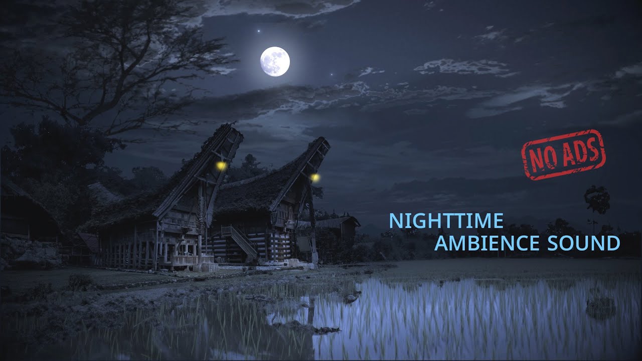 Overcome Stress to Sleep Instantly with Nighttime Ambience & sound of ...