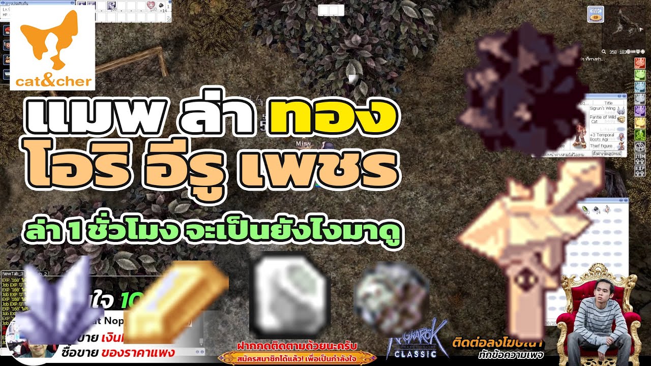 ragnarok classic rogue ล่า ทอง โอริ อีรู Ori Elu แมพที่คนมาน้อย ล่า 1 ...