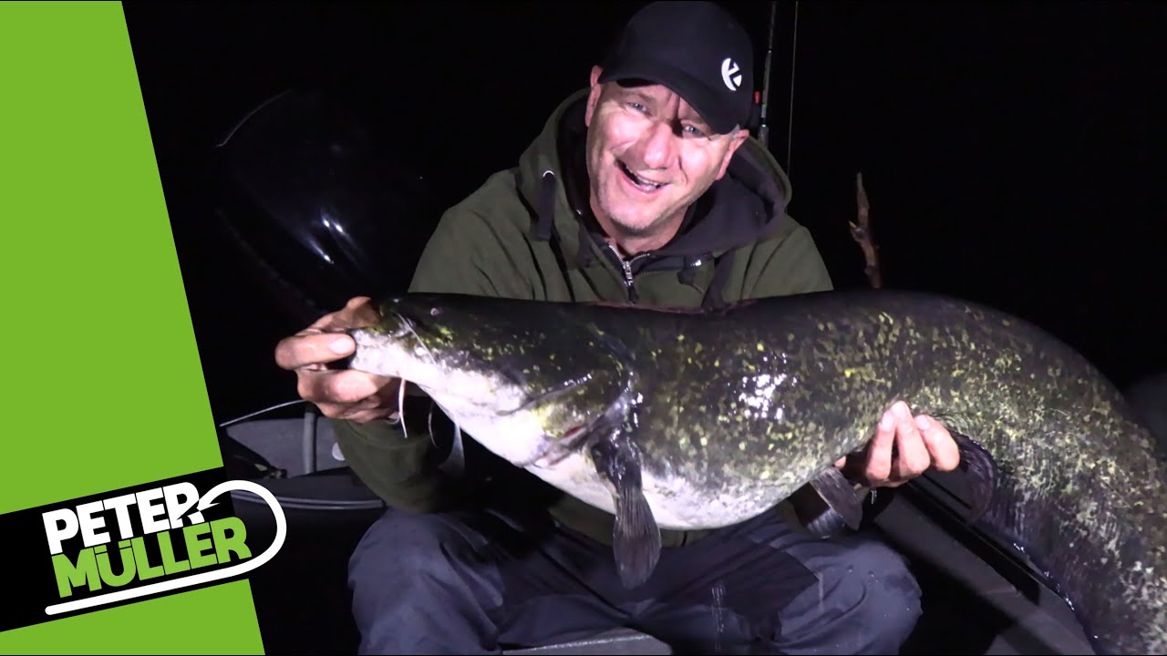 Welsangeln in der Heimat - Neue Stellen erkunden #waller #fishing # ...