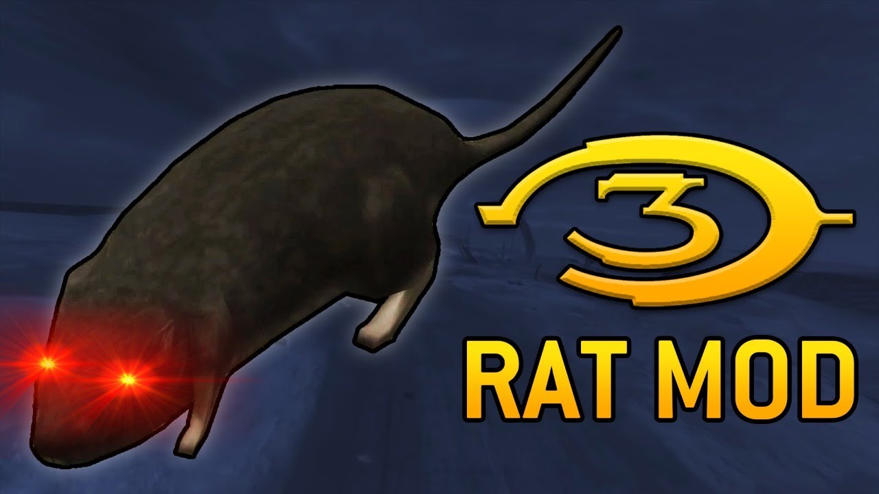 Making Rat Mods in Halo 3 (Yes, Really) - YouTube