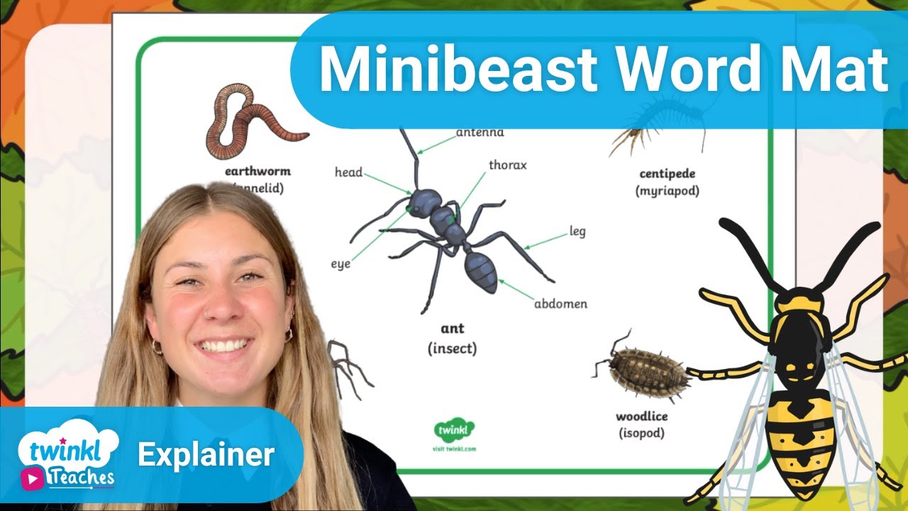 Teaching Children about Minibeast Body Parts - YouTube